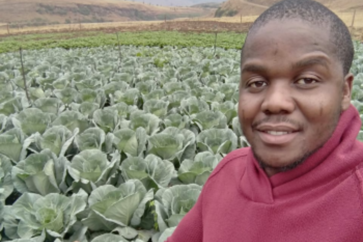 Umlimi osemusha uhlakulela impumelelo | Umbele ePublication