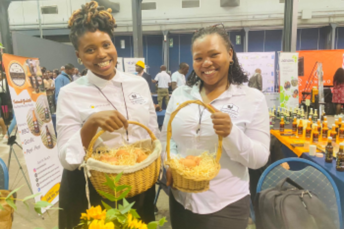 Baqeda ububha emphakathini ngezinkukhu | Umbele online publication